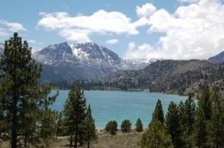 Oh Ridge Campground, CA - Latest Reviews, Photos & Campground Map ...