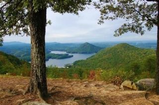 Chilhowee Campground, TN - Latest Reviews, Photos & Campground Map ...
