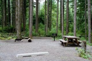 Middle Fork Campground, WA - Latest Reviews, Photos & Campground Map ...