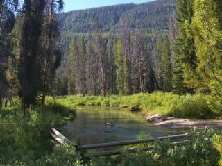 Alturas Lake Inlet Campground, ID - Latest Reviews, Photos & Campground ...