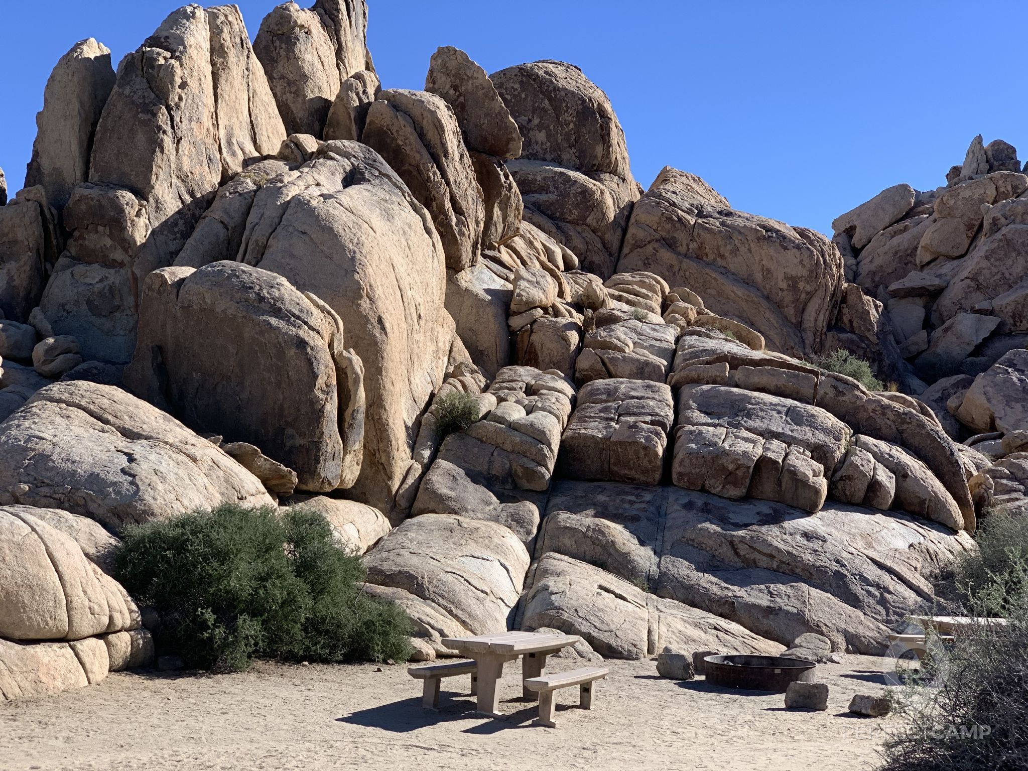 Sheep Pass Group Campground, Joshua Tree National Park, CA - Latest ...