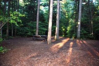 Sawbill Lake Campground, MN - Latest Reviews, Photos & Campground Map ...